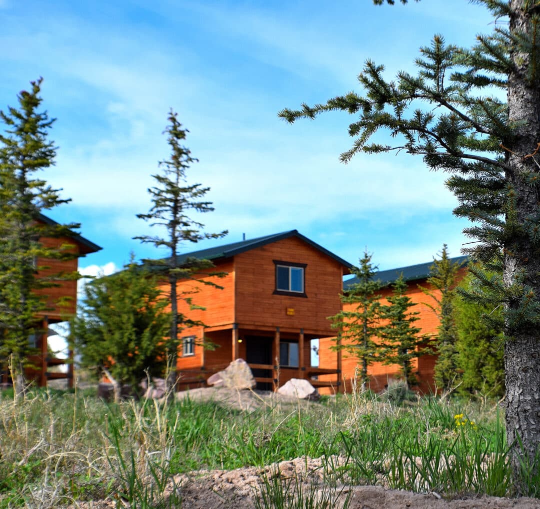 Dutch John Resort At Flaming Gorge Come To Play & Stay