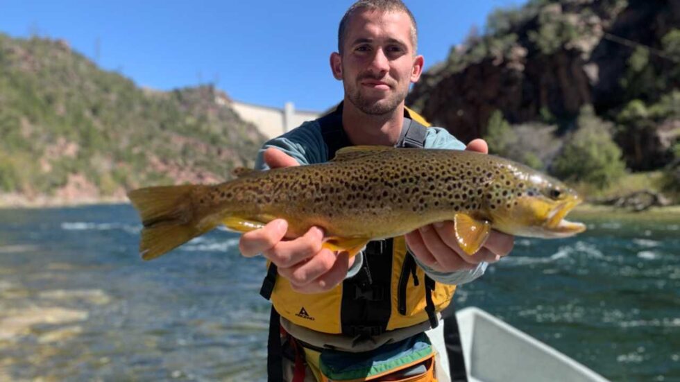 When Do Brown Trout Spawn | Dutch John Resort